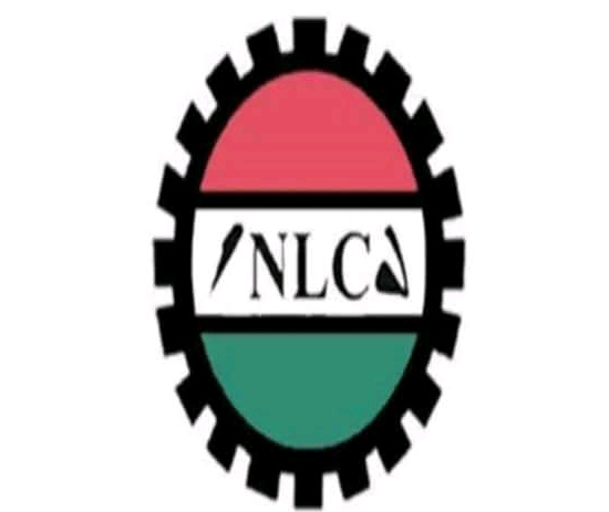 'Fabricated Figures' - NLC Tackles NBS Unemployment Rate Report - AmiLoaded News