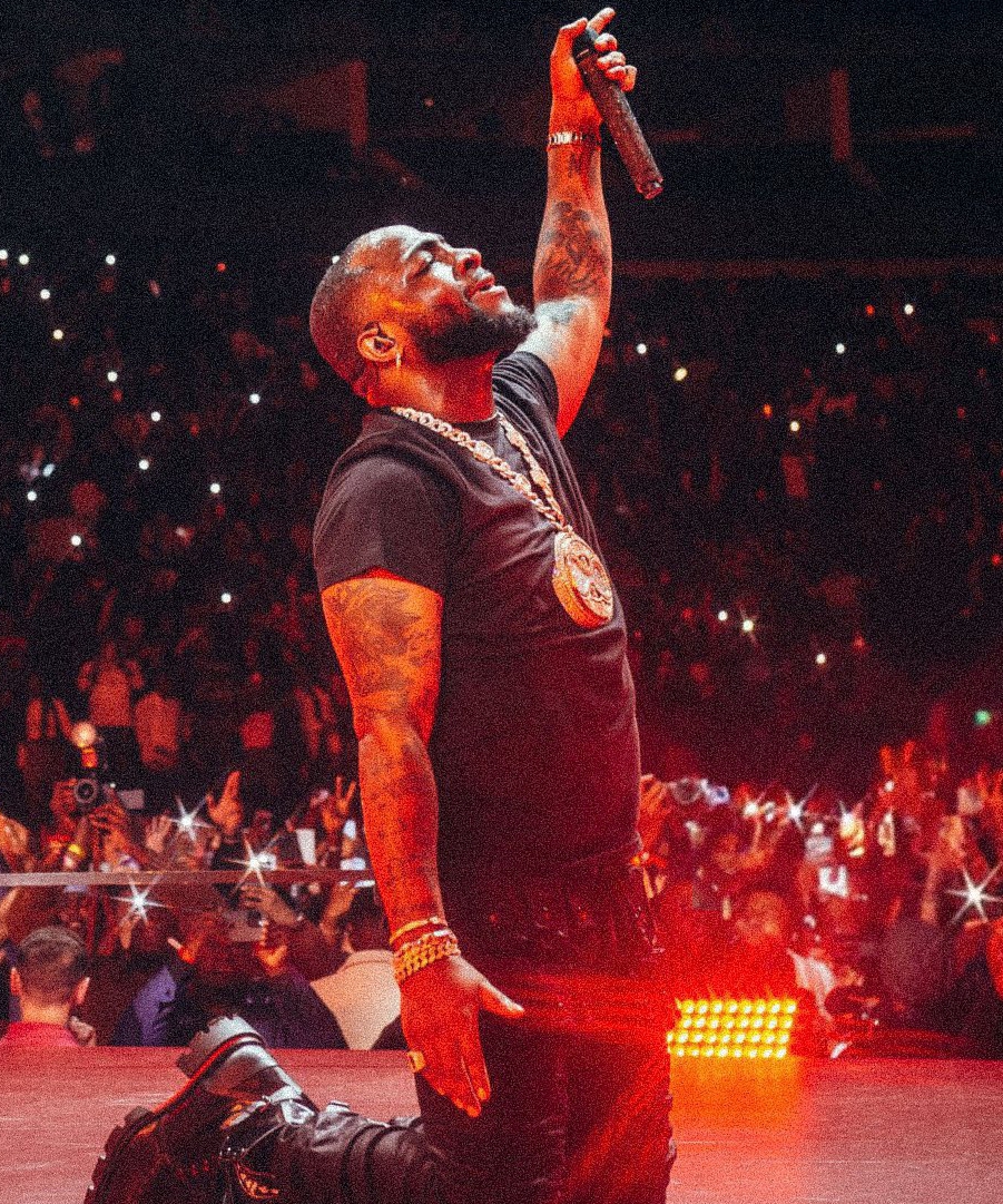 Davido Reportedly Receives N17Billion To Perform At Wedding In India ...